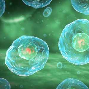Mitochondrial Support Supplement from immunizeLABS